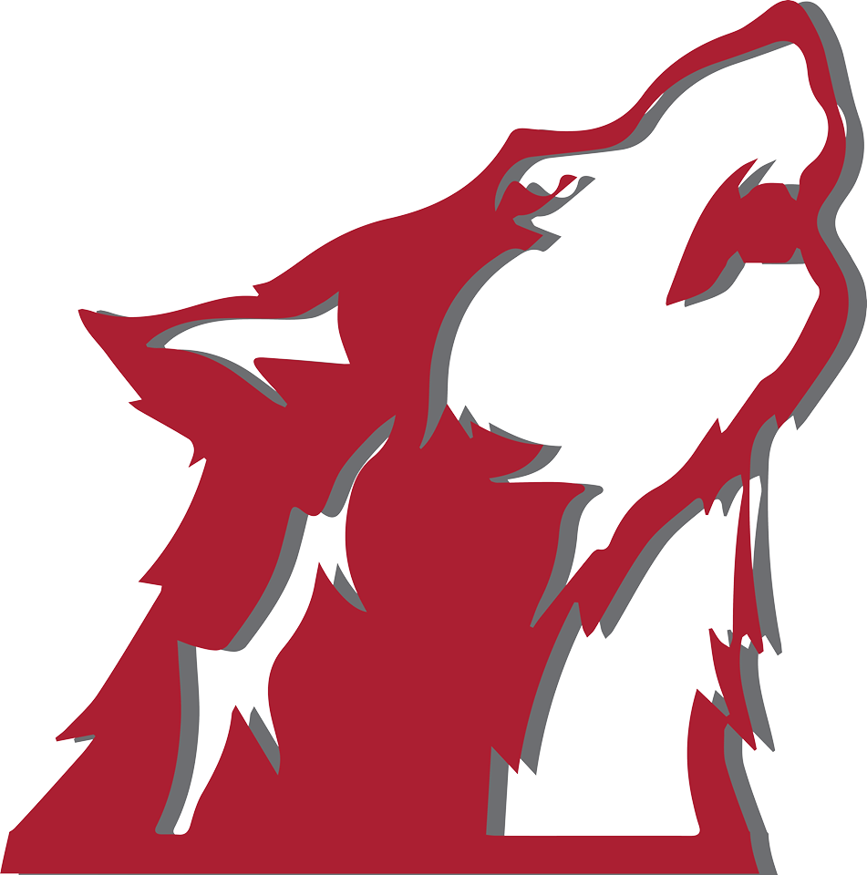 WolfHacks '18: A chance for students within the Peel Region and GTHA to ...