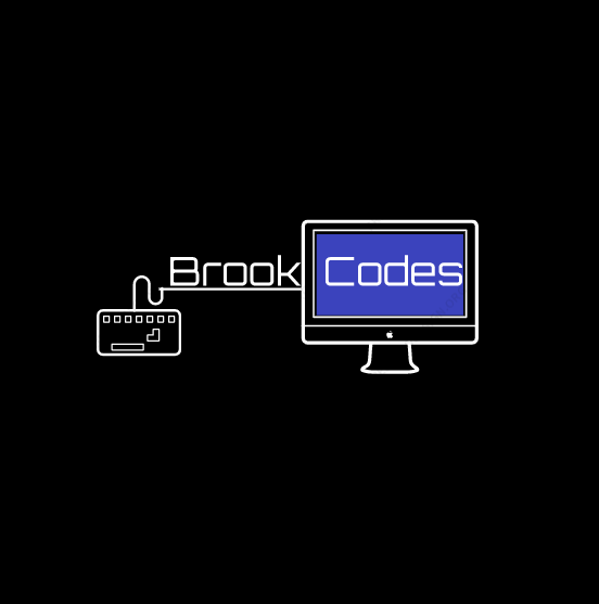 Brook Codes 2022: In a two day hackathon, students join other middle ...