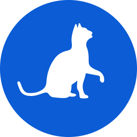 HackNYU 2025: The largest student organized hackathon in NYC that takes place at New York ...