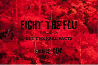 CDC: "How to Fight the Flu" | Devpost