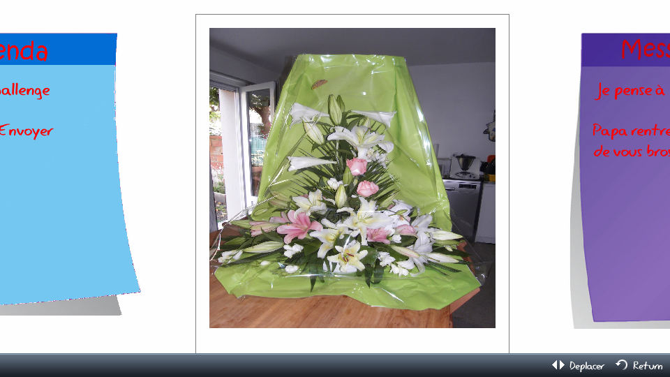 Koala Family Board | Devpost