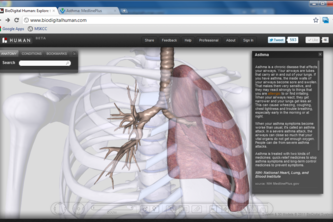 The BioDigital Human Platform | Devpost