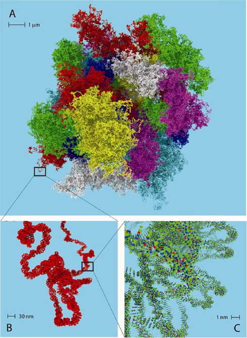 Genome3D-A model-view framework to visualize genome in 3-dimension | Devpost