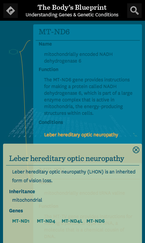 The Body's Blueprint: Understanding Genes and Genetic Conditions | Devpost