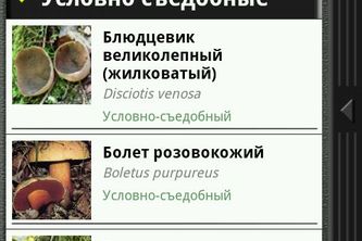 Mushroom guide (Грибы. Советник) | Devpost