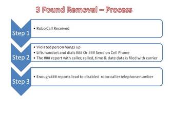 3 Pound Reporting Process | Devpost