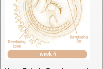 Pregnancy Guide | Devpost