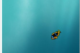 Pocket aquarium | Devpost