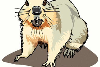 Robo-Killer | Devpost