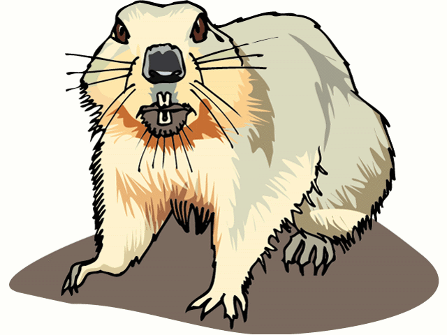 Robo-Killer | Devpost