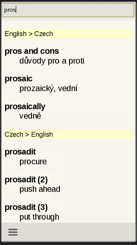 Czech English Dictionary | Devpost