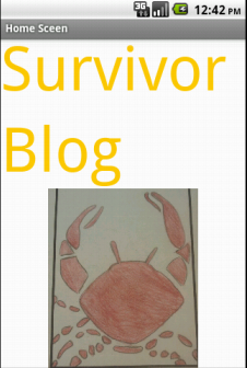 Survivor Blog | Devpost