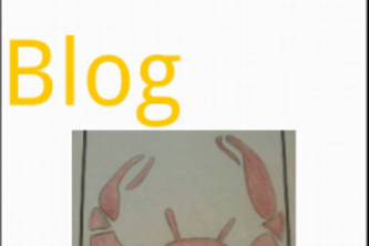 Survivor Blog | Devpost