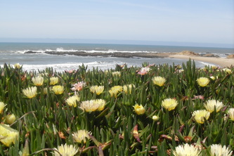 Man vs Machine | Devpost