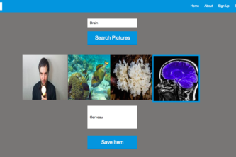 Immerse Your Brain ! | Devpost