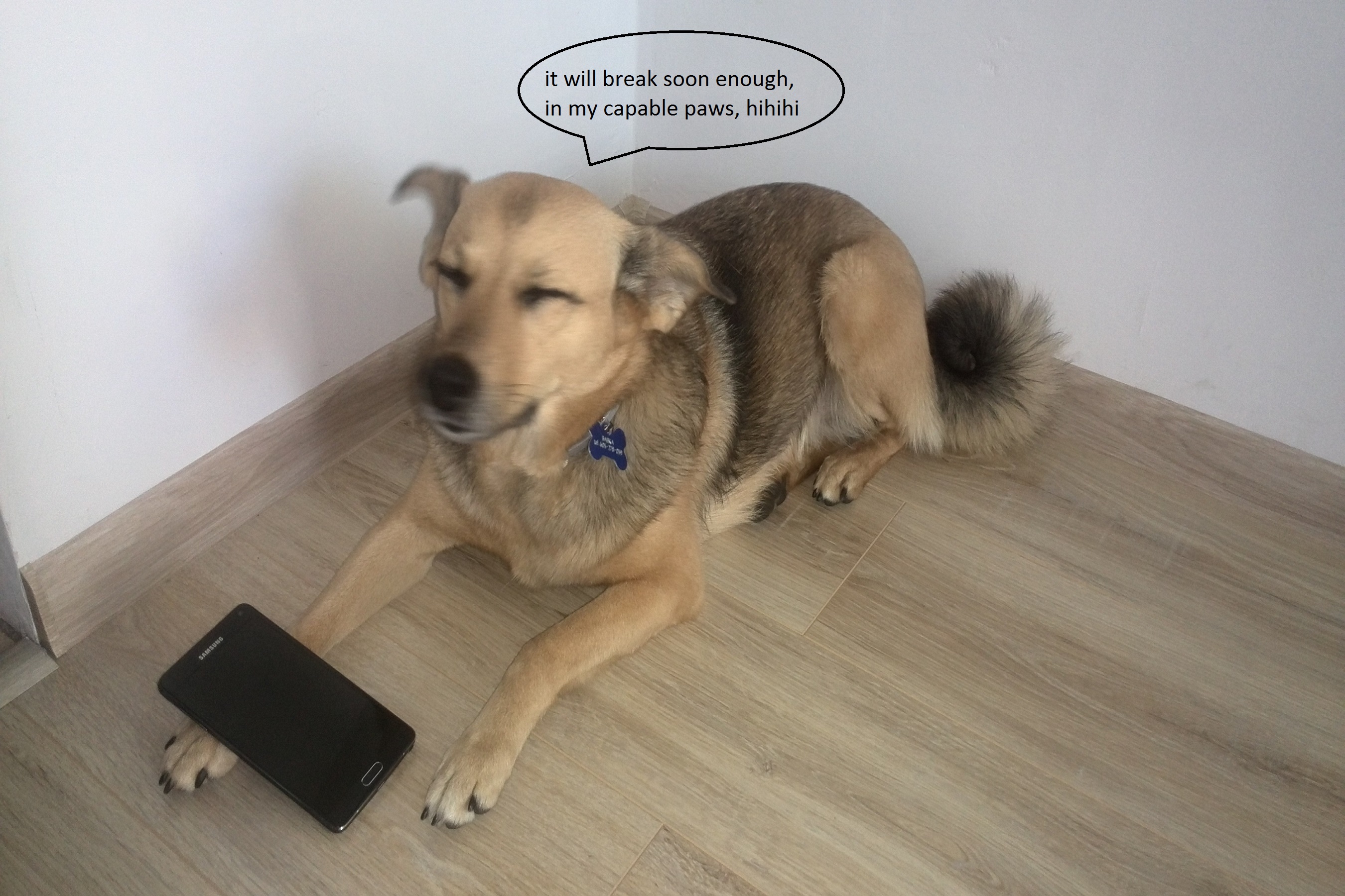 Naughty Dog | Devpost