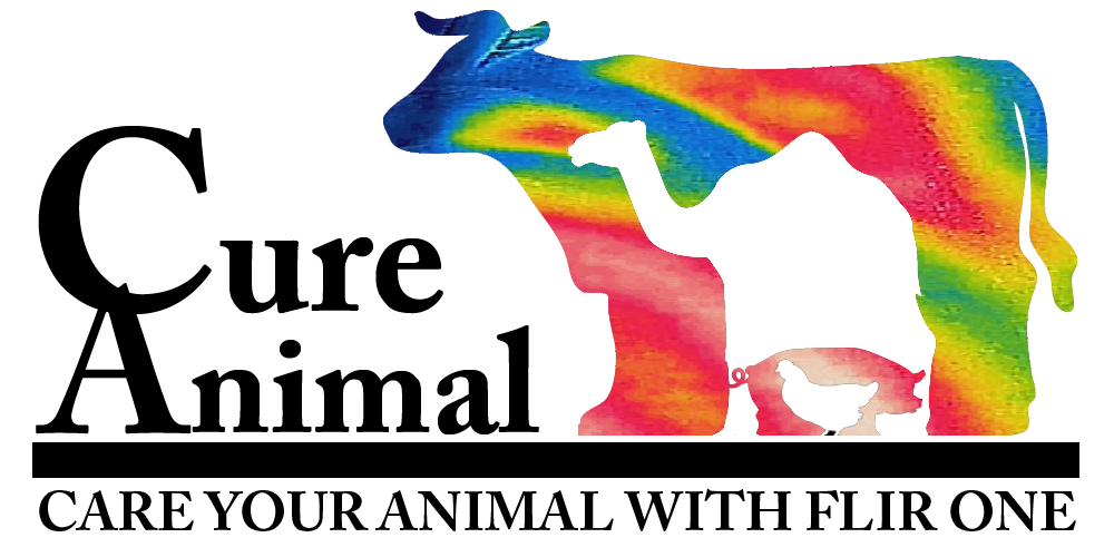 Cure Animal - Care your Animal with FLIR ONE | Devpost
