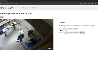 Granny Nanny | Devpost