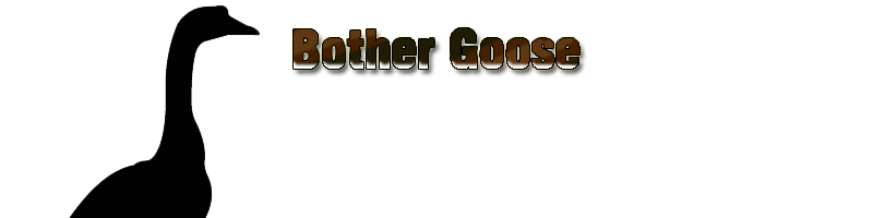 Bother Goose | Devpost