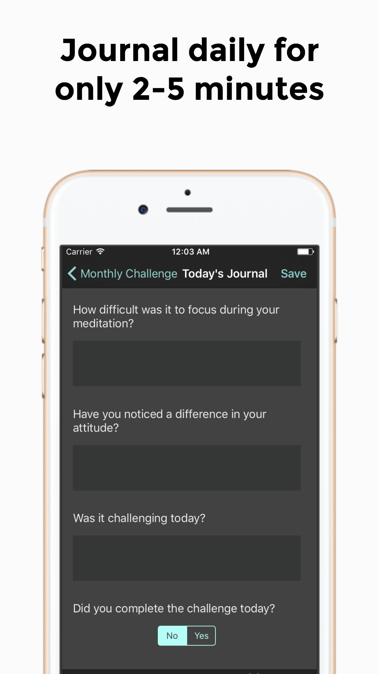 30_Day_Challenge | Devpost