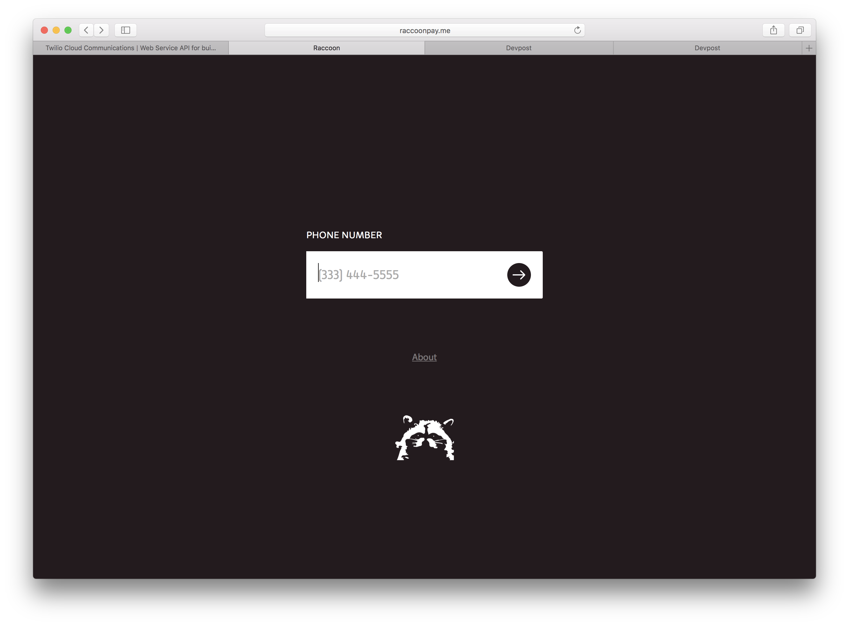 Raccoon Pay | Devpost