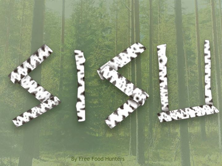 Sisu games | Devpost