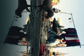 Street photography | Devpost