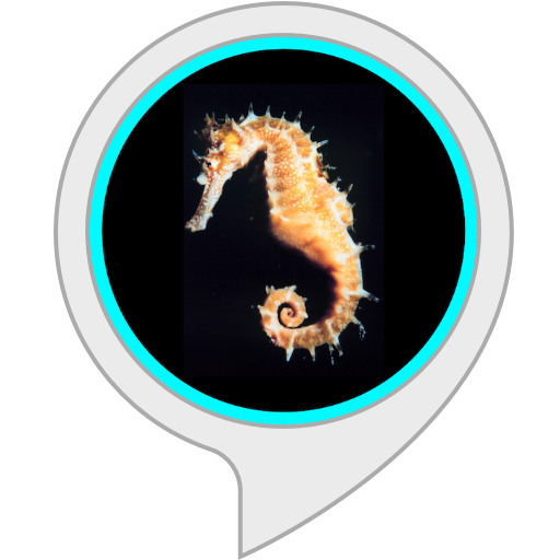 Seahorse Facts Alexa Skill | Devpost