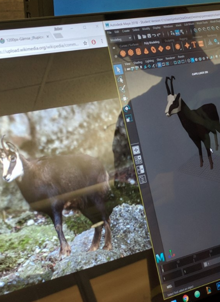 Courage Animals | Devpost