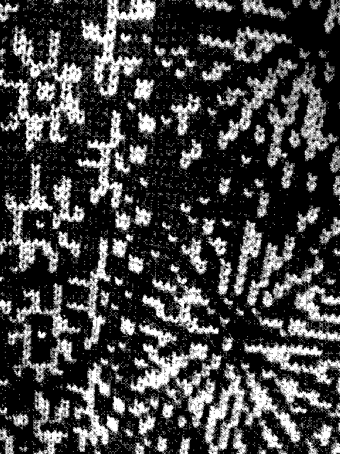 Knit Engine | Devpost