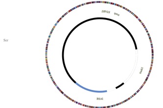 DNA_Visualization | Devpost
