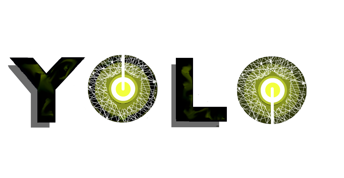 YOLO Insurance | Devpost