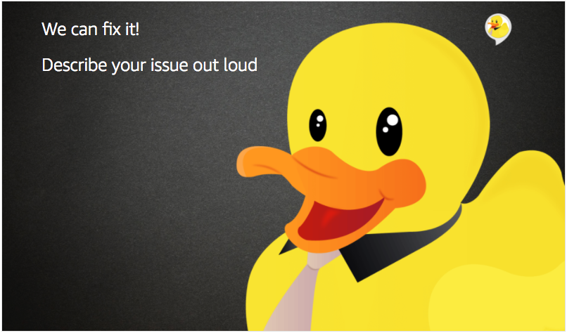 Rubber Duck Alexa Skill | Devpost