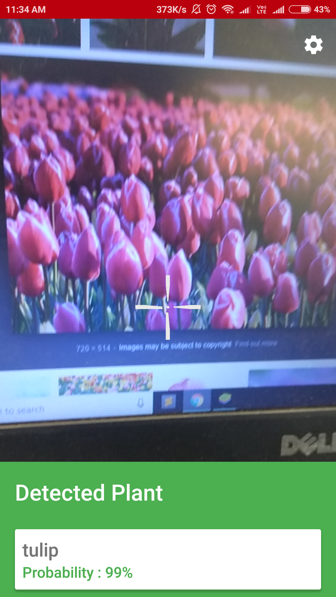 TPA : The Plant App | Devpost