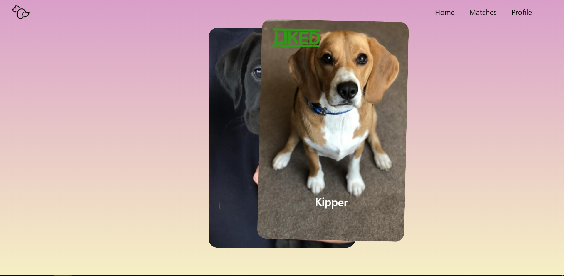 Tinder for Dog Adoption | Devpost
