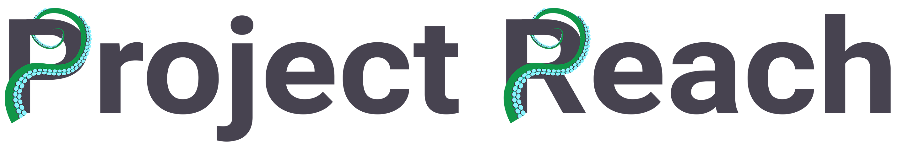 Project Reach/Plastic Chickens Table - 16 | Devpost