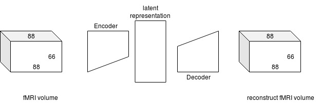 Training An Autoencoder On Visual Images And Fmri Data Devpost