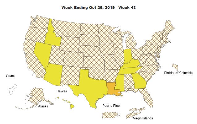 Disease Disaster Relief | Devpost