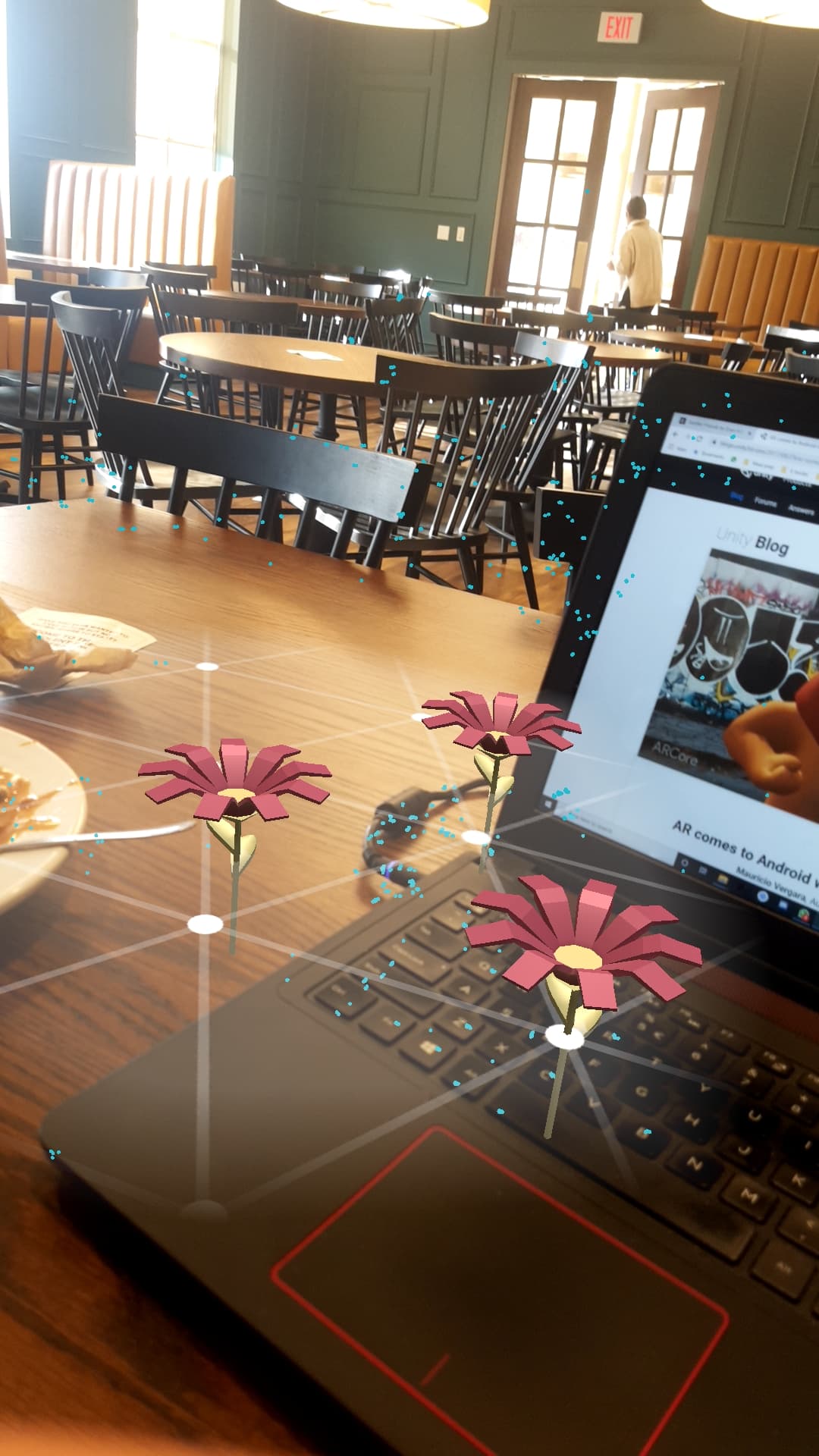 Pocket Grow | Devpost