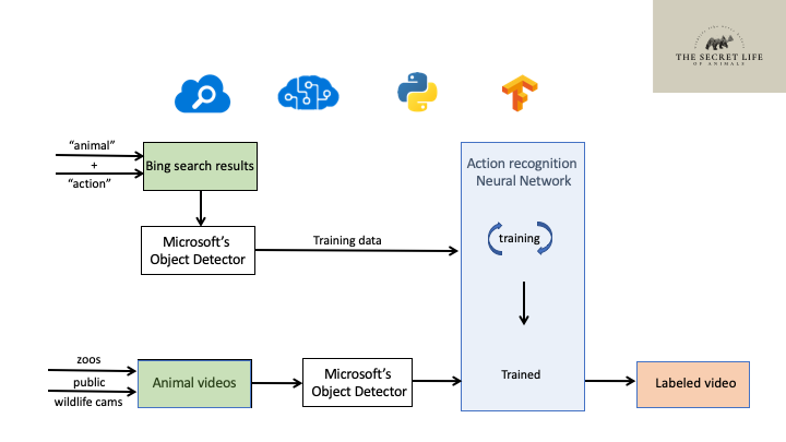 The Secret Life of Animals | Devpost