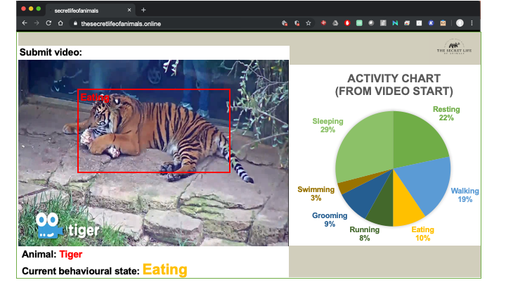The Secret Life of Animals | Devpost