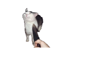 Cryptic Quest | Devpost