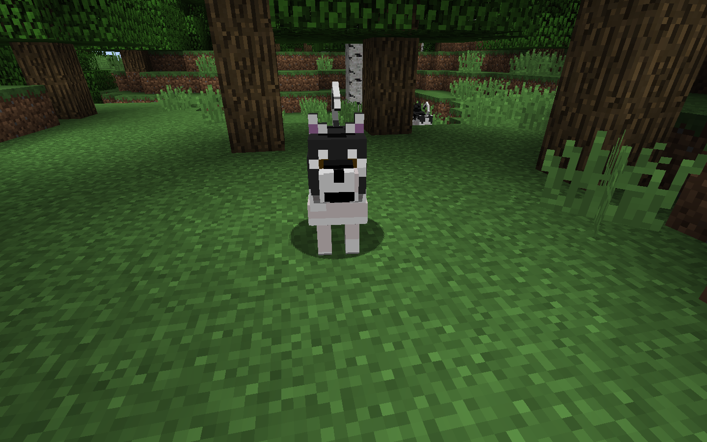 Versatile Dogs for Minecraft | Devpost