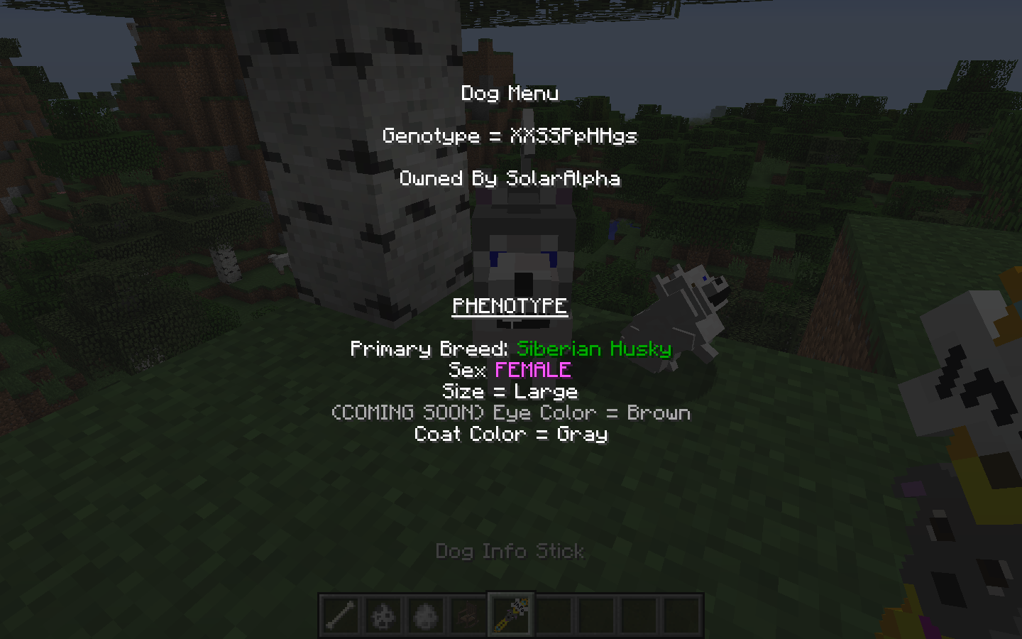 Dog Genetics in Minecraft | Devpost