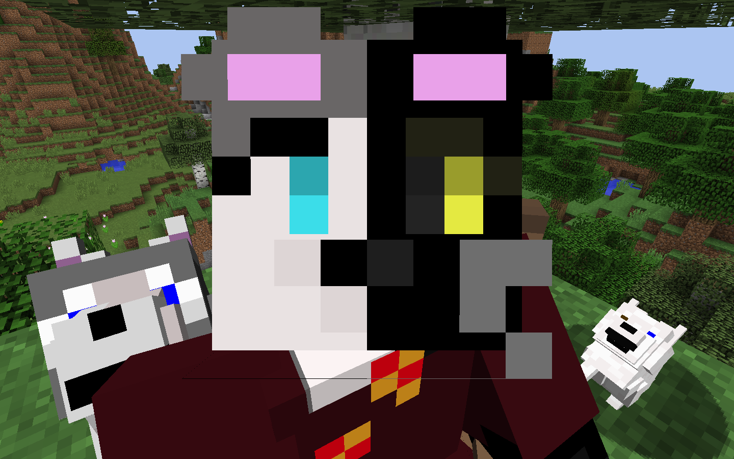 Dog Genetics in Minecraft | Devpost