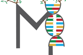 The Missing Links | Devpost