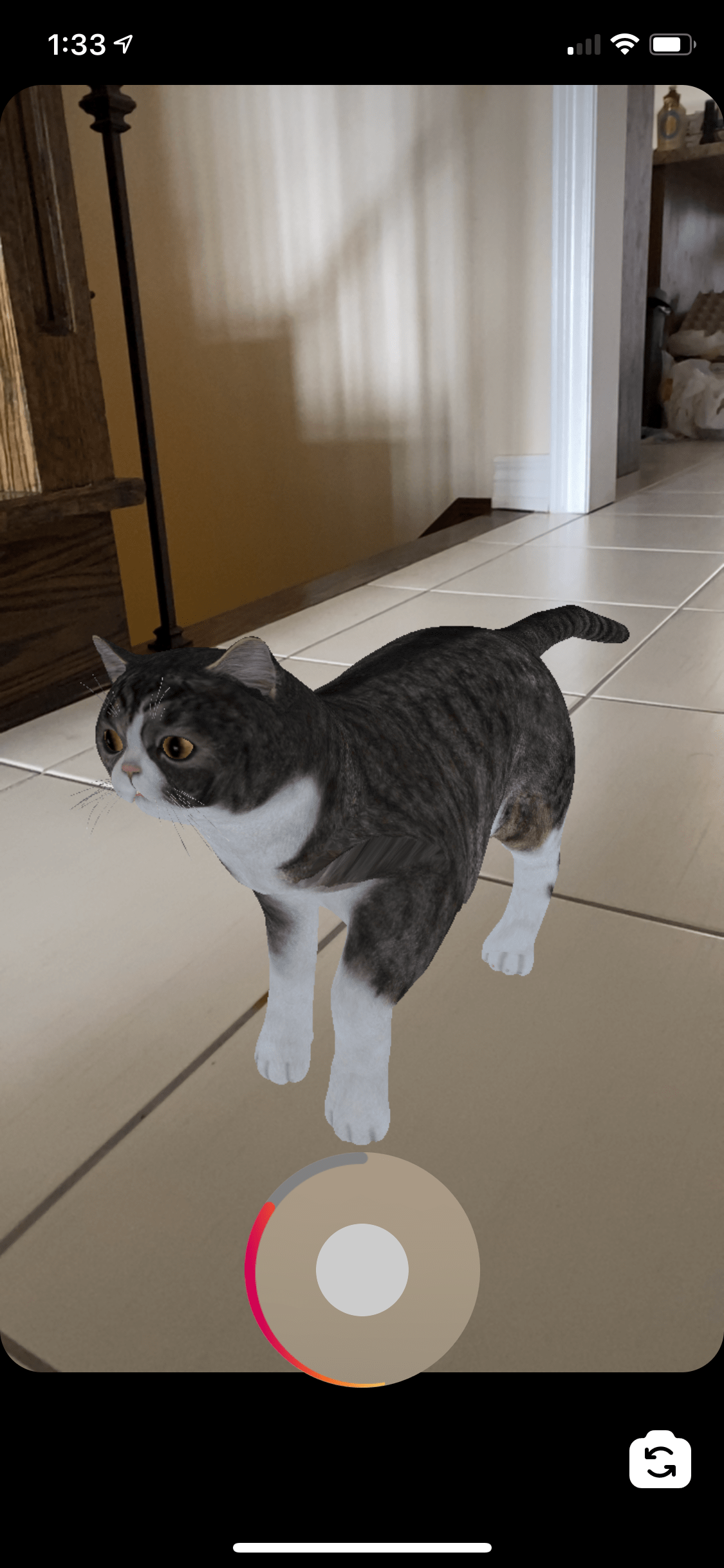 Pets for everyone! | Devpost