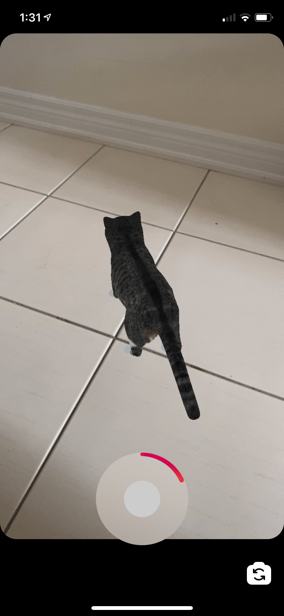 Pets for everyone! | Devpost