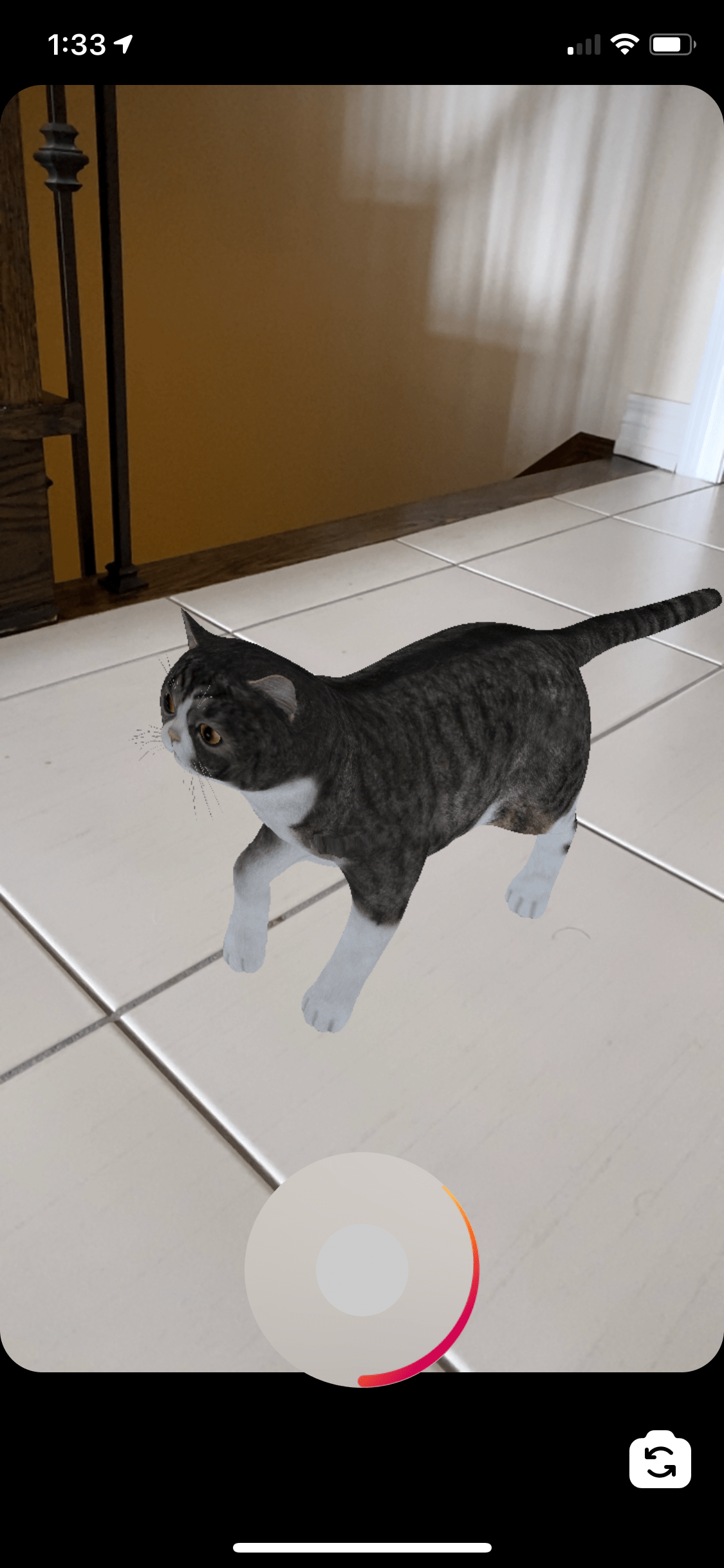 Pets for everyone! | Devpost