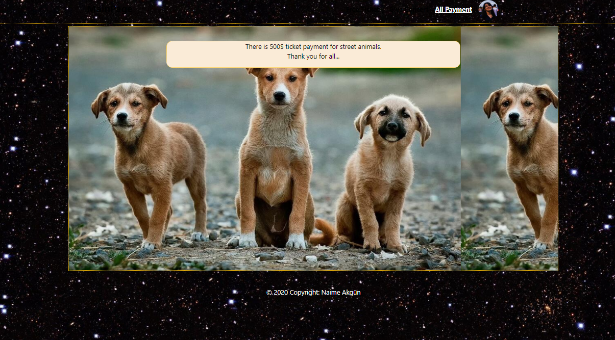 Live Home Concerts Platform For Street Animals | Devpost